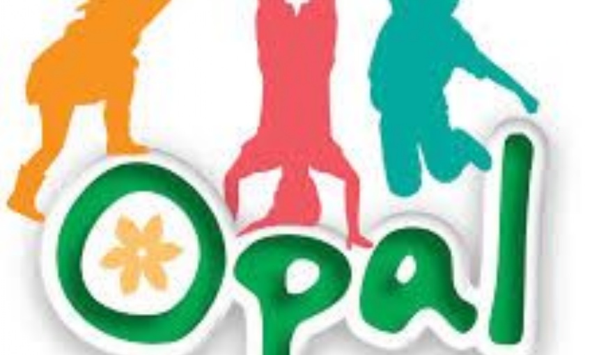 John Shelton Community Primary School - OPAL Play